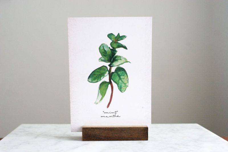 Farmhouse Style Botanical Prints Every Kitchen Needs This Spring - The ...